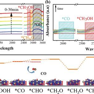 Kui CHEN University Of Science And Technology Of China Hefei USTC Department Of Physics