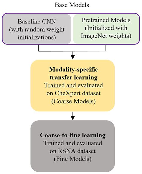 Detection And Visualization Of Abnormality In Chest Radiographs Using Modality Specific