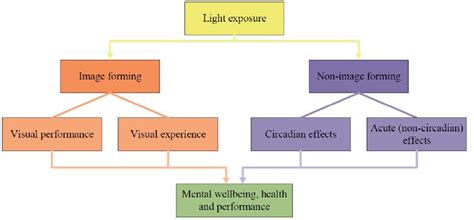 Figure 14 From The Acute Alerting Effects Of Light During Daytime