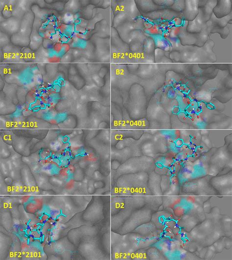 Pymol Visualization Shows The Polar Binding Interaction Between