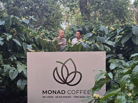 Monad — Premium Direct True
