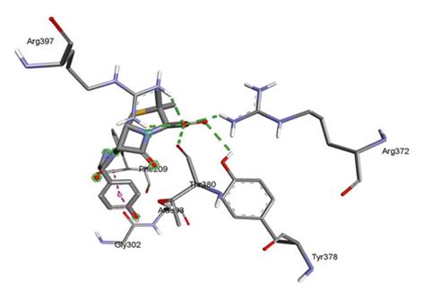 3d B And 2d A Representations Of The Binding Interactions Of Download Scientific Diagram