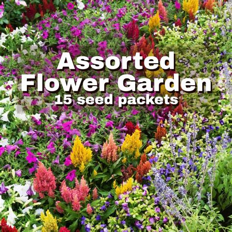 Buy Assorted Flower Garden Seeds 15 Packs Online Happy Valley Seeds