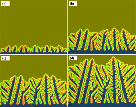 Phase Field Simulation Results Of Polycrystalline Directional