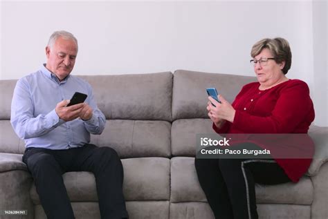 의사 대기실에서 사회적 거리를 유지하고 휴대 전화를 사용하는 두 명의 성숙한 낯선 사람 대합실에 대한 스톡 사진 및 기타 이미지 대합실 2명 60 64세 Istock