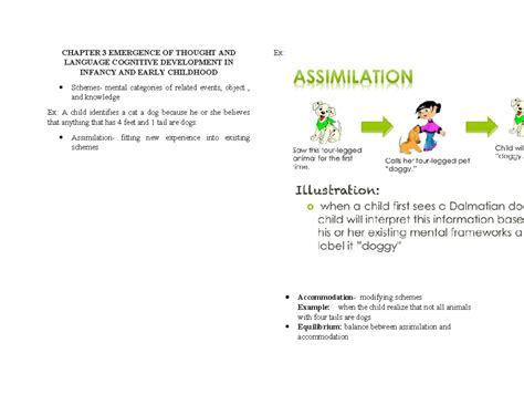 Dev Psych Chap 4 Here Are Some Of My Lecture Notes Chapter 3