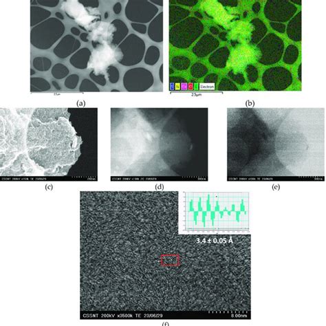 Zc Image A With Edx Mapping Analysis At ×80 K Magnification B C Download Scientific
