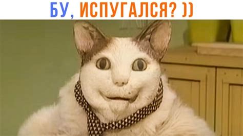 БУ ИСПУГАЛСЯ НЕ БОЙСЯ Я ДРУГ Приколы Мемозг 1520 Алексей Сова Дзен