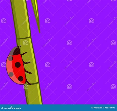 Sugarcane Vector Pattern 218131750