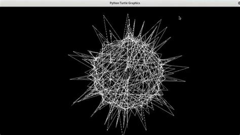 Turtle Python 699 Video Yandexte Bulundu