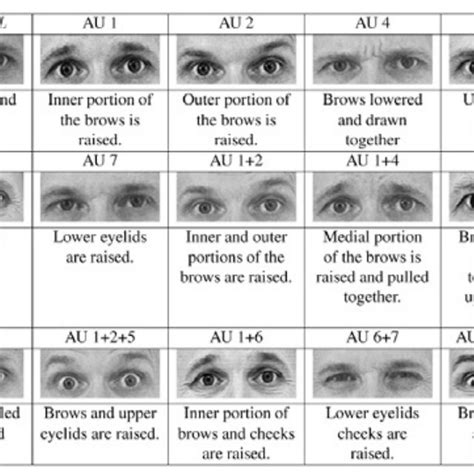 1 Upper Face Action Units And Some Combinations Download Scientific Diagram
