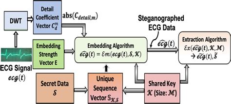Unequal Steganography Embedding And Extraction Download Scientific