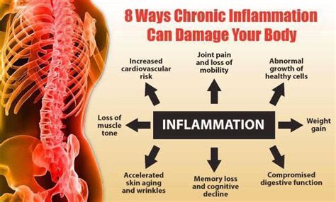 Inflammation Oxidativestress Biohack Nrf2 Askmehow Livelonger