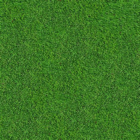Seamless Golf Grass Texture
