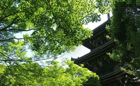 真正極楽寺 真如堂
