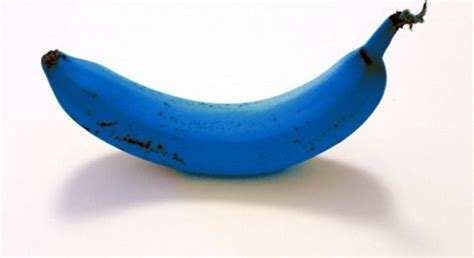 ეს არის იშვიათი ლურჯი ბანანი გააზიარე და შენ ჩააბარებ გამოცდებს გაატარებ და შენ ჩაიჭრები