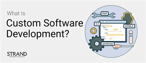 Custom Software Development Advantages And Examples
