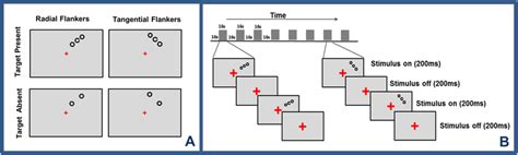 Experimental Design And Procedure For Fmri Measurements A Examples