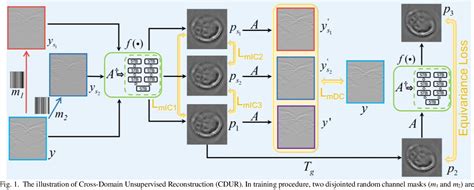 Figure 1 From Cross Domain Unsupervised Reconstruction With Equivariance For Photoacoustic