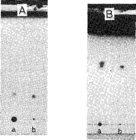 Figure 1 From Archaebacterial Diether Lipids In A Non Alkalophilic Non