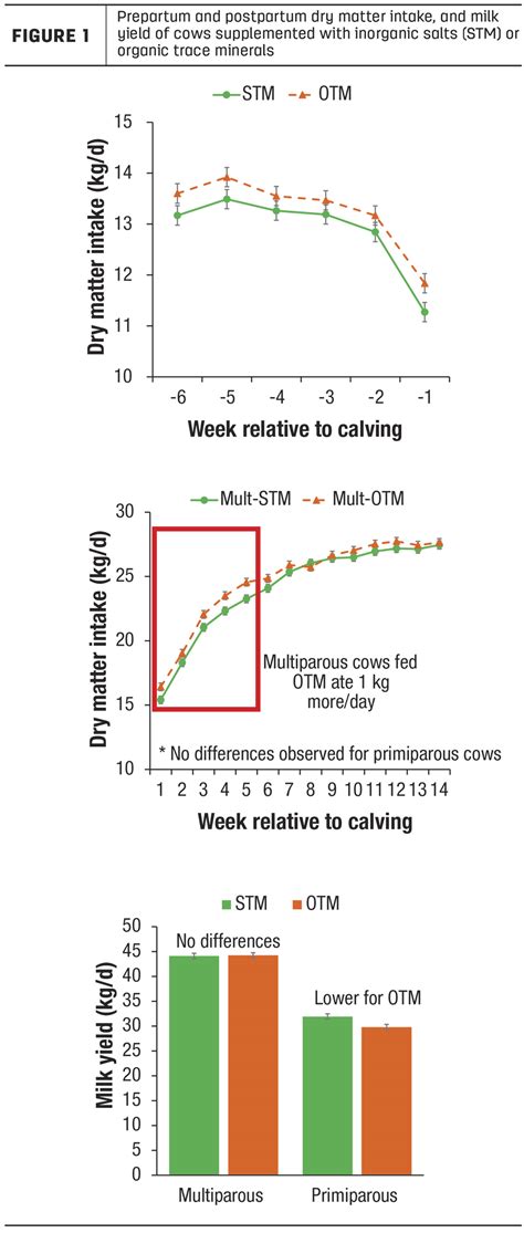 Trace Mineral Supplementation In The Diets Of Dairy Cows Ag Proud