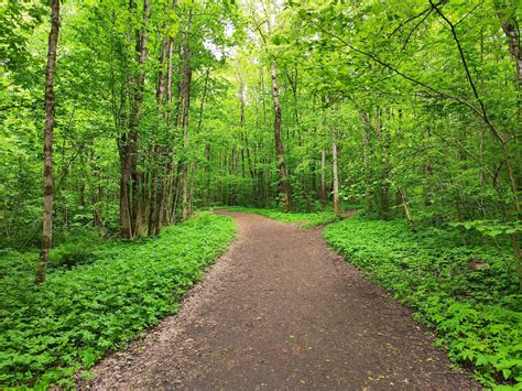 The Importance Of Staying On The Trail At All Times — Sentier RÉcrÉatif Prescott And Russell