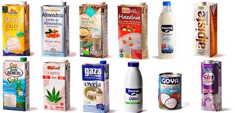 Diferentes Tipos De Leche Y Sus Usos En La Cocina 2026 La Chechi Cocina