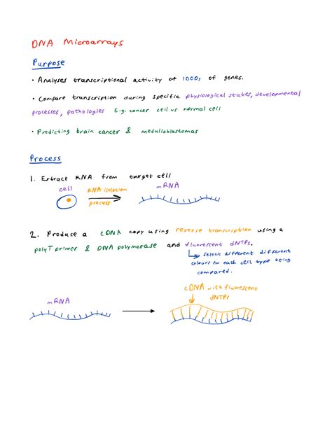 Dna Microarrays Dna Microarray Summary Dna Microarrays Purpese