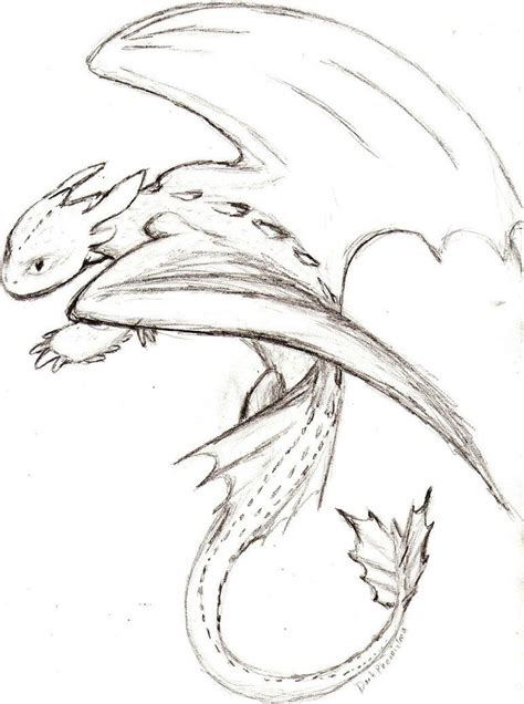 Night Fury Drawing At Explore Collection Of Night