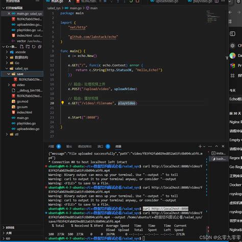 【golang】echo框架使用（一）从0实现视频文件上传下载go Echo 下载文件 Csdn博客