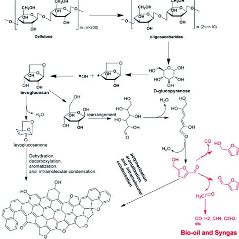 Schematic Of Porous Biochar Containing Various Functional Groups Download Scientific Diagram