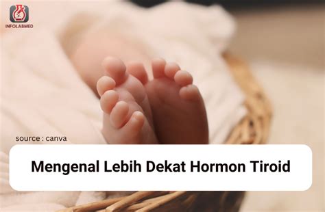 Mengenal Lebih Dekat Hormon Tiroid