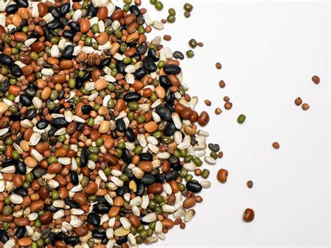 Summer Nitrogen Fixer Green Cover