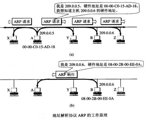 Ping某个域名的详细过程ping 域名 Csdn博客
