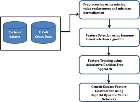 Genetic Disease Related Feature Classification Process Download