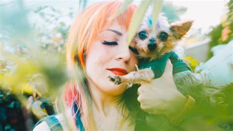 Fundraiser By Mandy Cat Kitana Mandys Time To Heal