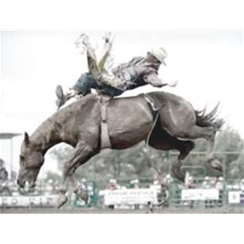 Bareback Riding Gear Barstow Pro Rodeo Equipment