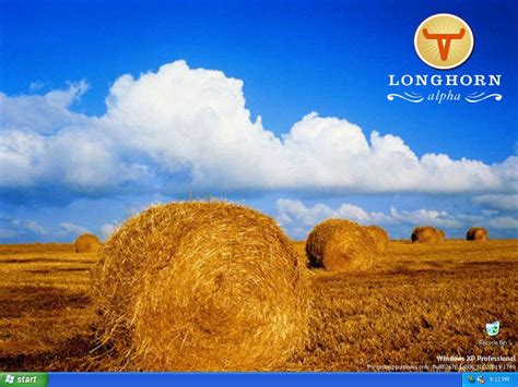 Windows Longhorn Build 3670 Betawiki