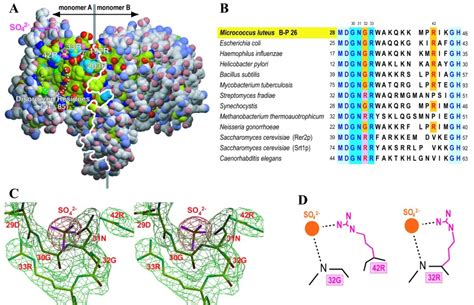 Crystal Structure Of Cis Prenyl Chain Elongating Enzyme Undecaprenyl Diphosphate Synthase