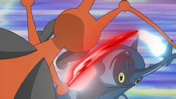 Ashs Heracross Bulbapedia The Community Driven Pokémon Encyclopedia