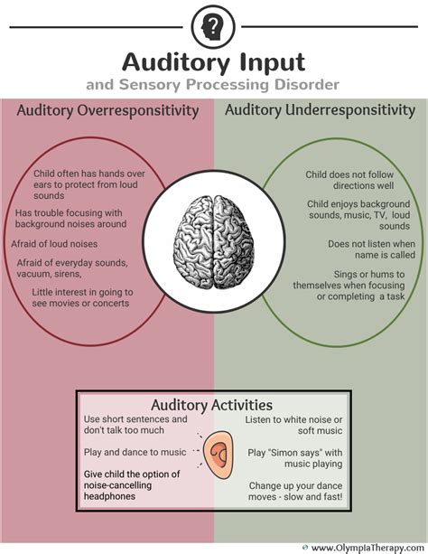 Auditory Processing Disorder And Sensory Issues At Kara Torres Blog