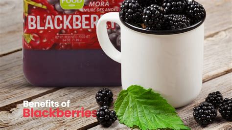 Blackberries Health Benefits Nutrients Preparation And More Pjlm