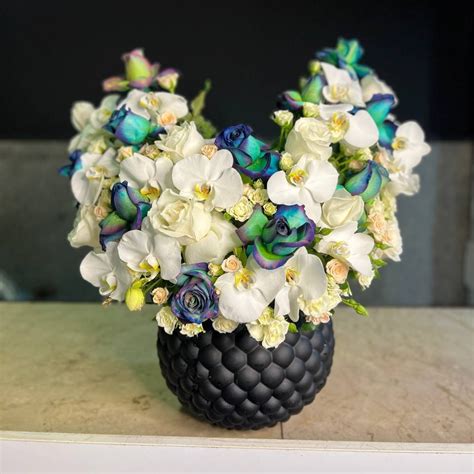 آقای گل کرج جام گل طرح شاپرک