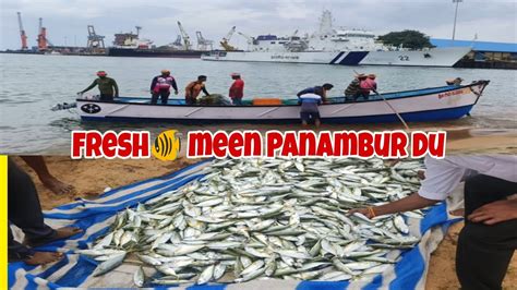 Fresh Meen Panambur Beach Du Youtube