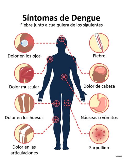 Cuáles Son Los Síntomas Del Dengue Y Cómo Se Pueden Aliviar Infobae