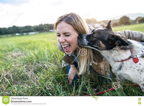 Красивая молодая женщина с собакой в зеленой солнечной природе Стоковое Фото изображение
