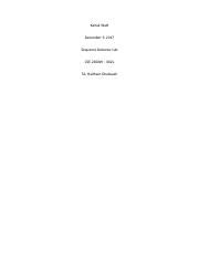 Sequence Detector Lab 12 Docx Kamal Wat December 9 2017 Sequence