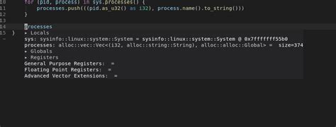 Debugger How To Look Into Locals Etc · Issue 8690 · Helix Editor