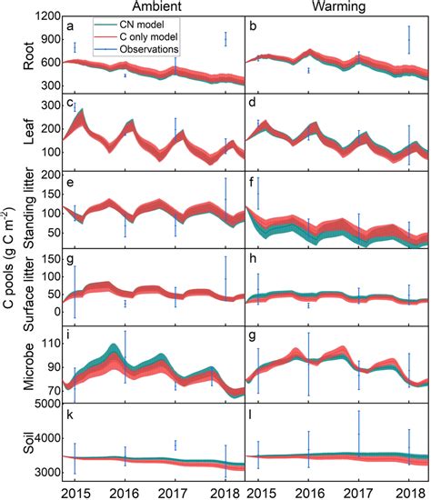 Modeled And Observed Pool Size Changes From To The Modeled Download Scientific