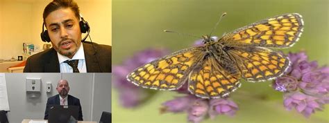 Webinar On The Kunming Montreal Global Biodiversity Framework Gbf Outcomes Follow Up And Way